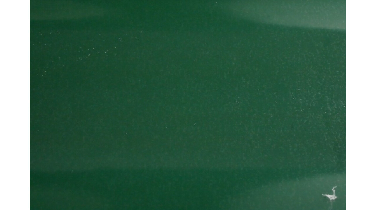 Siser P.S. Film EasyWeed A0010 Dark Green 30 x 50 cm - CHRISOLLY, 4,49