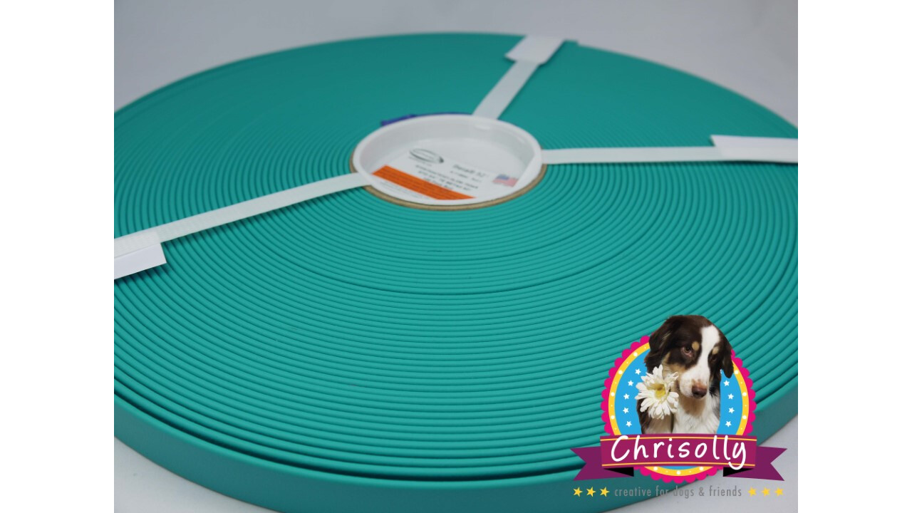 B3810 Biothane Türkis 38mm TE521 - CHRISOLLY, 6,99